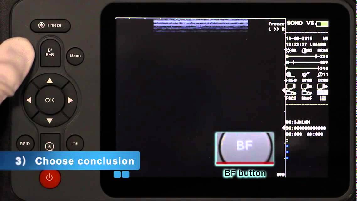 V6 17 Physical ear tag scanning and storage processes - YouTube