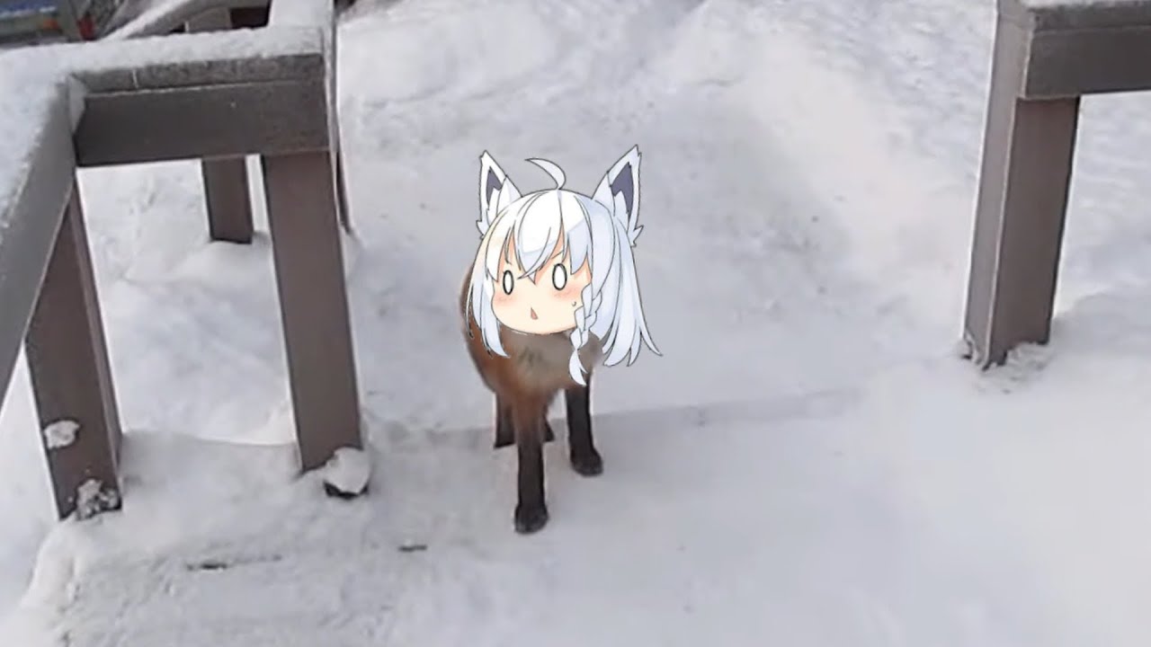 Fubuki fox want to eat a hamburger | Animal hololive - YouTube