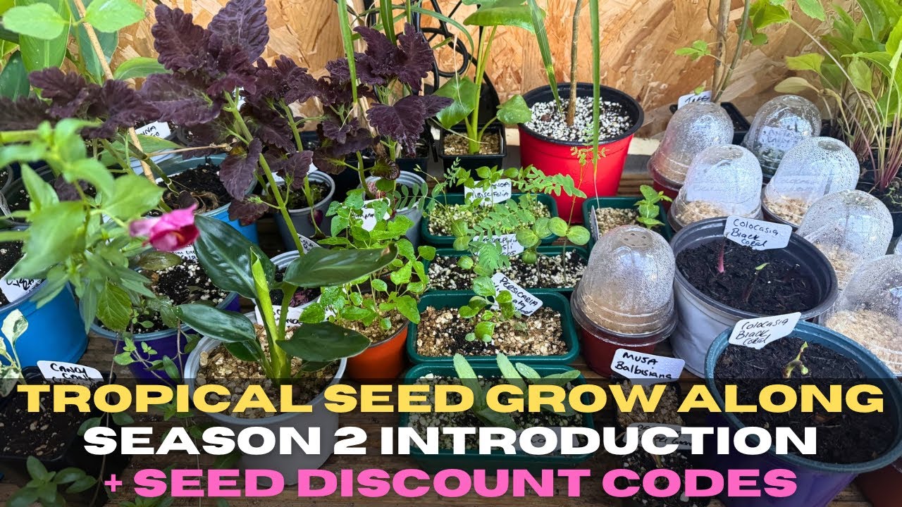 Tropical Seed Grow Along Season 2 Intro | Beginner-Friendly Gear + Two ...