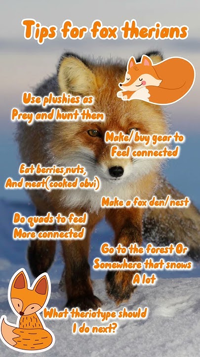 Therian fox tips! ;) #therian #therianthropy #fox #redfox #tips #shorts ...