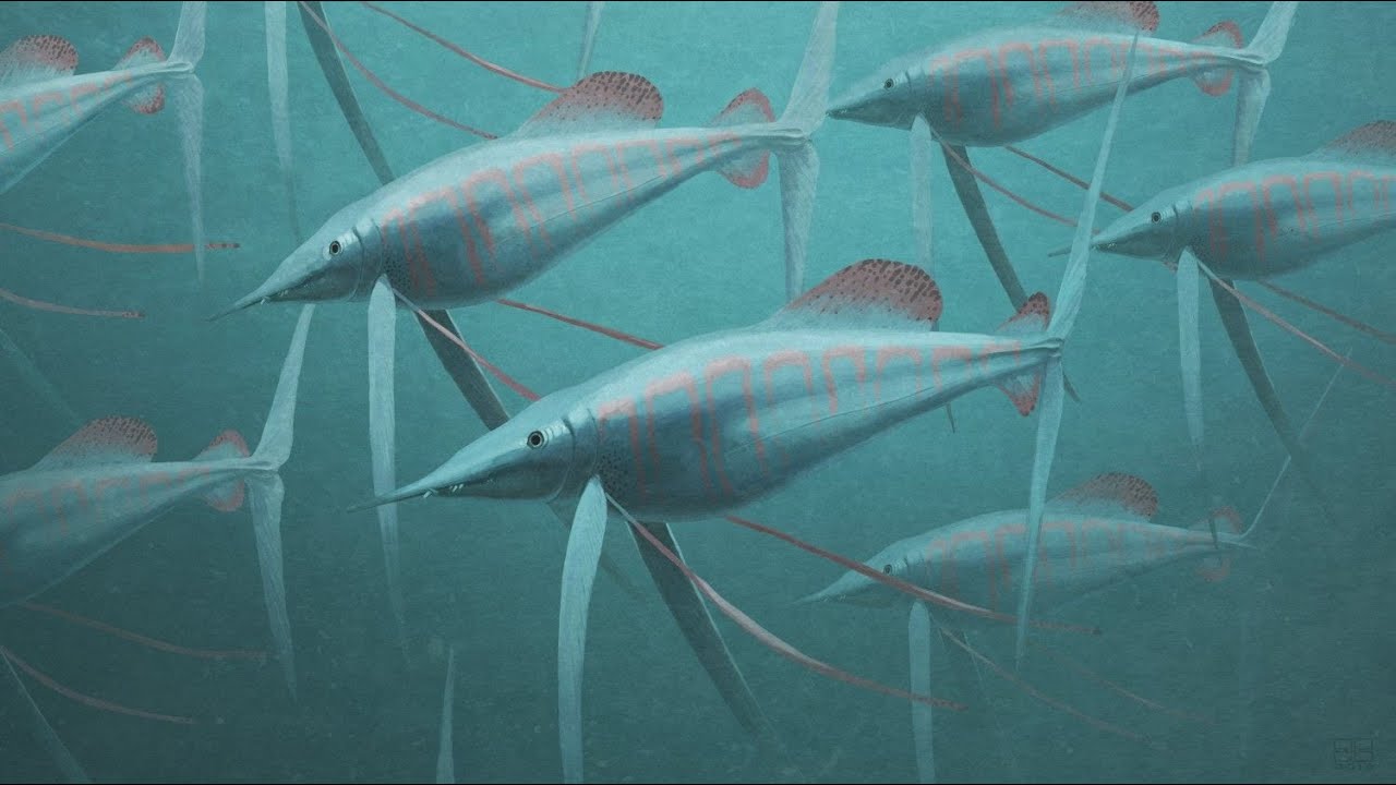 Speculative Evolution: Paleogene Oceans 3 - YouTube