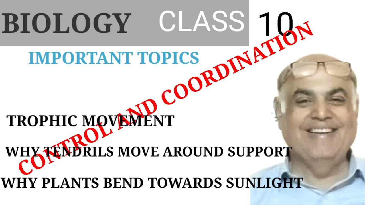 Class 10 Biology.Trophic movement, Why plant bends towards sun, Why ...