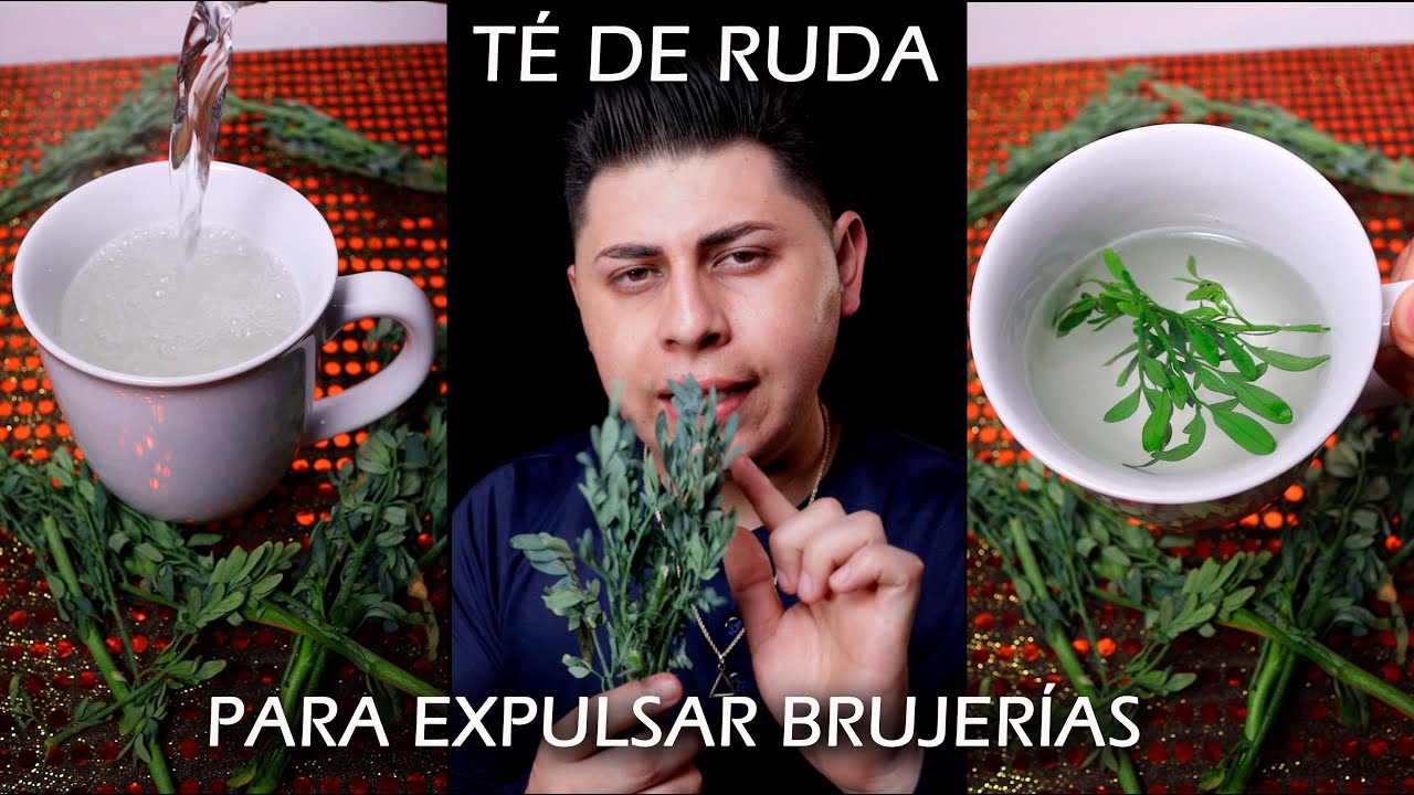 Té de Ruda para expulsar brujerías 🍵 Infusión mágica para destruir ...