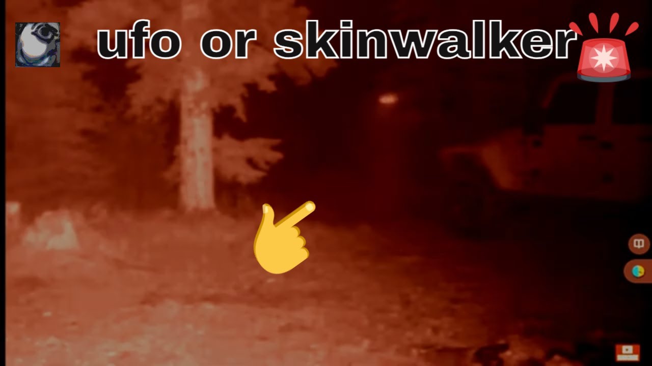 Trail camera caught an Alien cloaked? Or is this a skinwalker of the ...