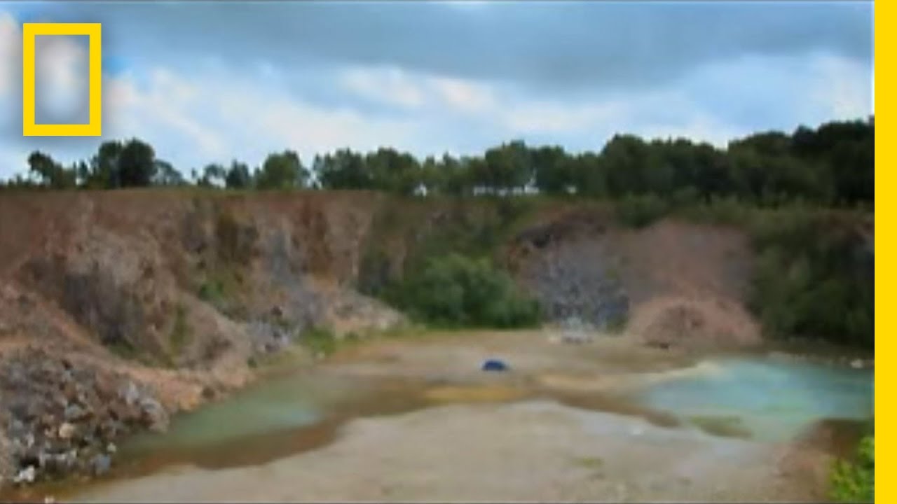 Street Whale Explosion | National Geographic - YouTube