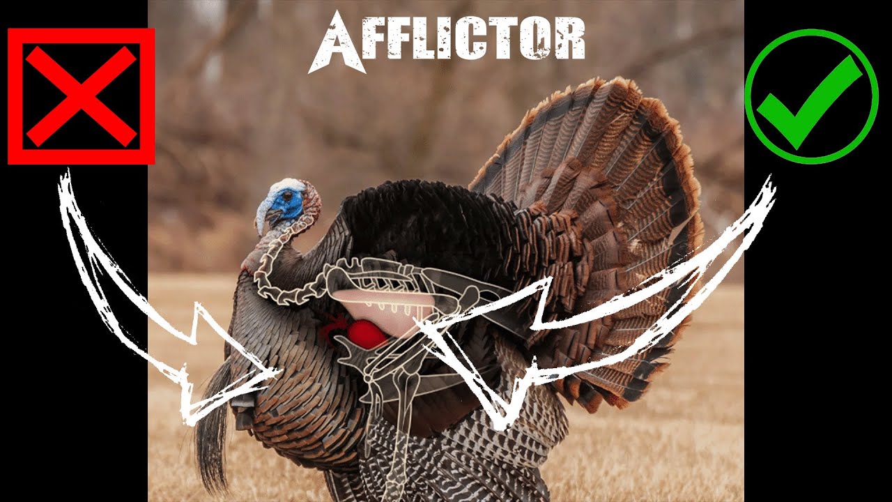 Advanced TURKEY SHOT PLACEMENT for Bowhunting - YouTube