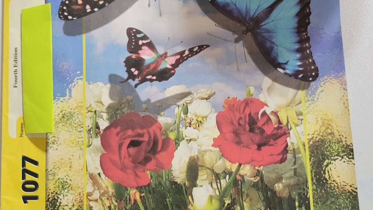 Math Pace 1077 p.33 - YouTube