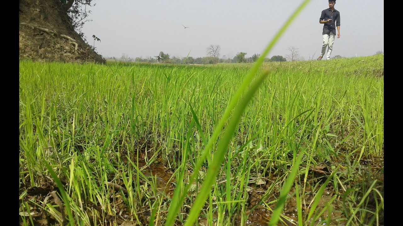 new released karbi album - YouTube