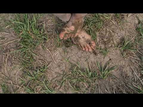 Guess the barefoot farm shit challenge 👣