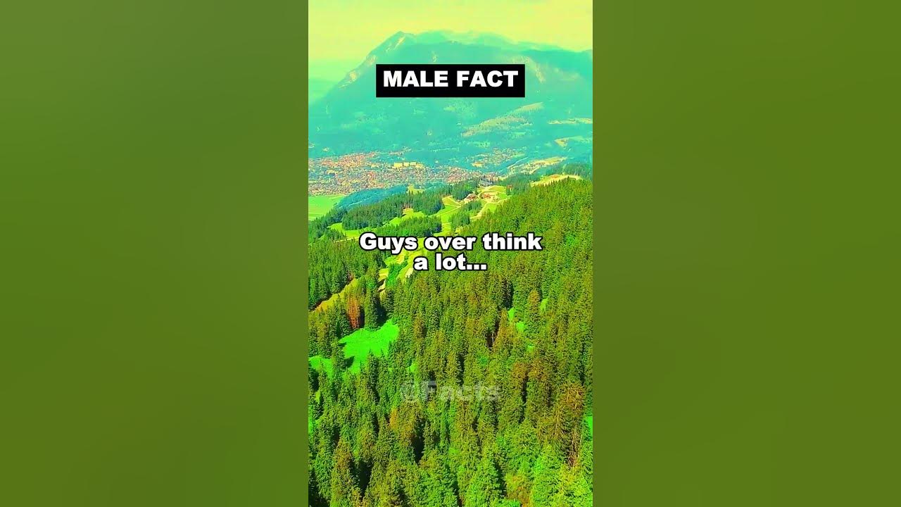 Decoding the Masculine Mind Unveiling Secrets About Men #facts #malefacts #short - YouTube