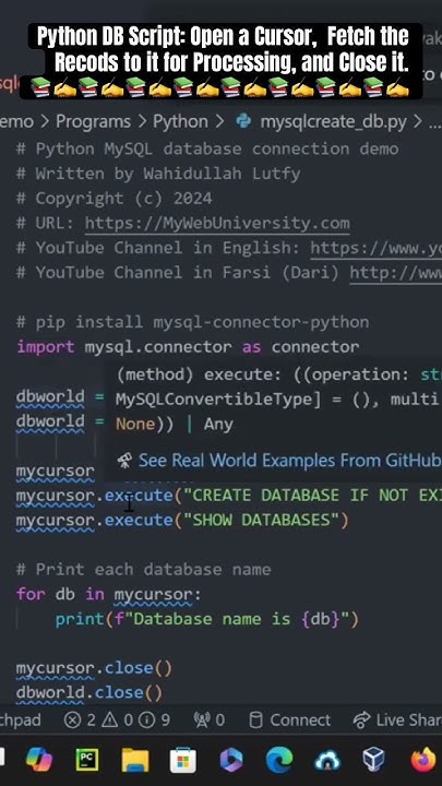 Python DB Script: What is a Cursor?📚 - YouTube