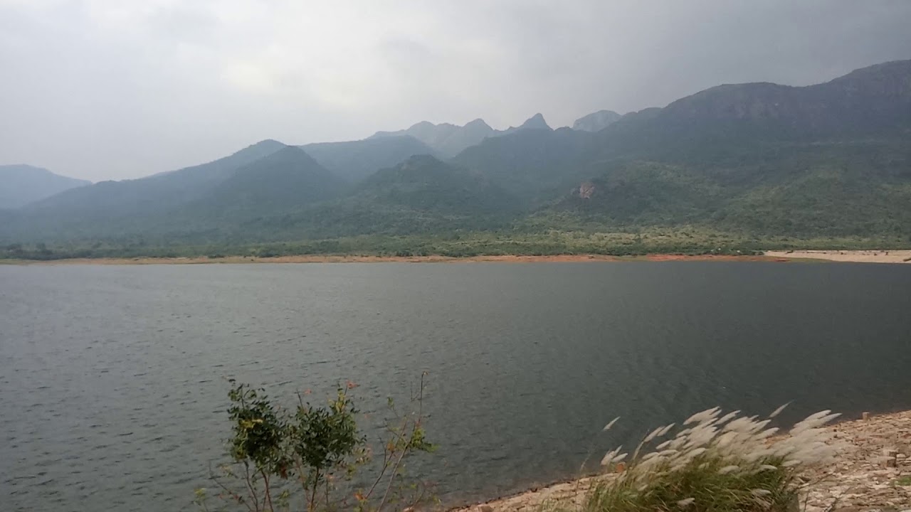 Vadakku pachaiyaru Dam. Kalakad, Tirunelveli. - YouTube