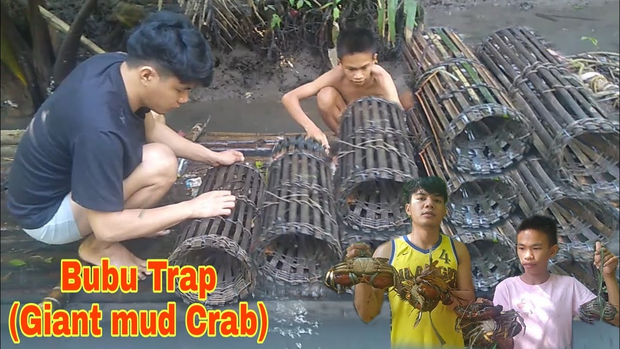 Ep-16(Traditional bamboo Trap catch giant mud crab)big size lahat ...
