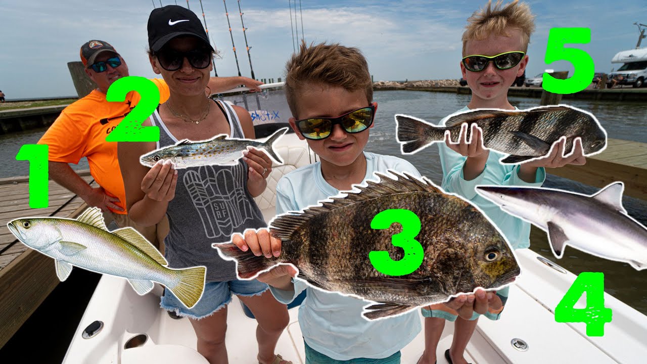We Caught 5 Different Kinds of SALTWATER FISH! (Sharks right by the ...