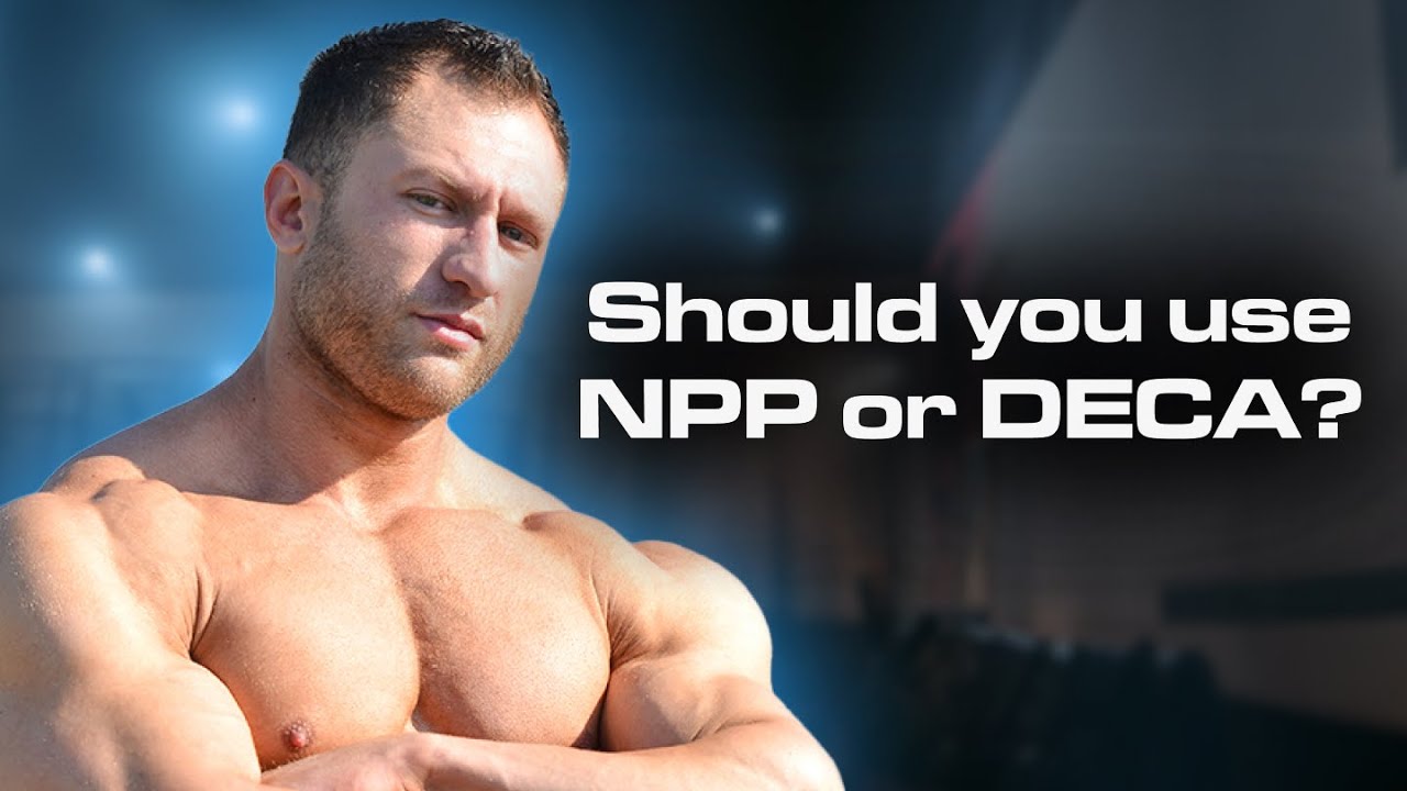 NPP Vs Deca - Comprehensive Guide to Choosing the Right Steroid for ...