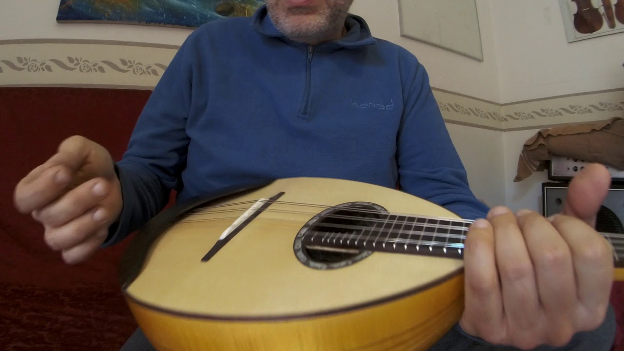 german mandolin video sample - YouTube