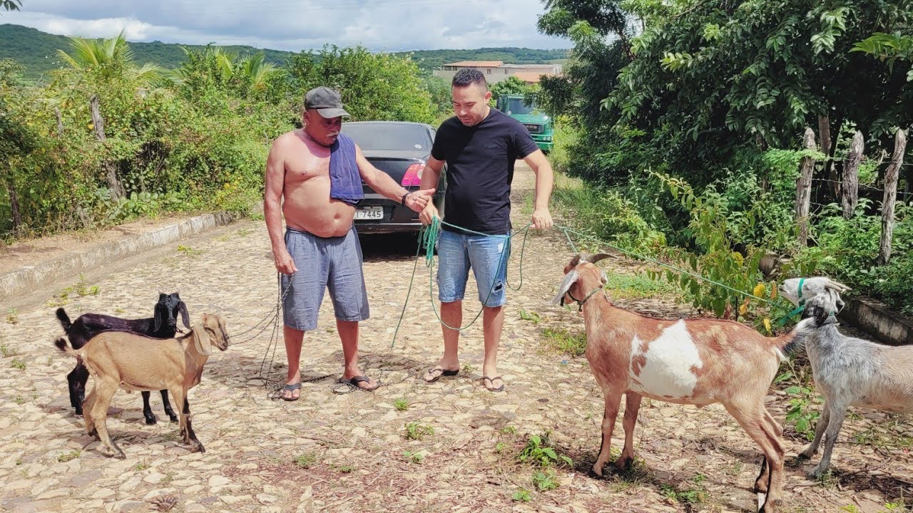 O HOMEM DO BODE ESTÁ DE VOLTA🐐 Sr Raimundo nos fala de suas novas ...