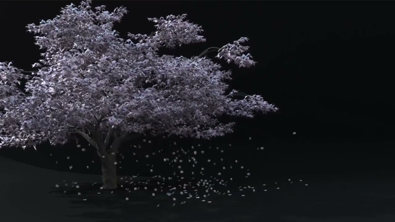 Houdini tree particles simulation - YouTube