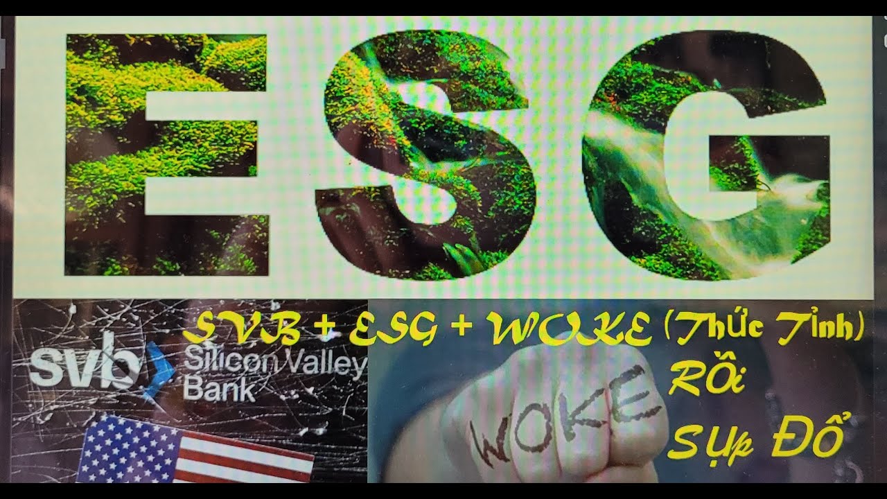 #15 MAR 23 SVB + ESG + WOKE THỨC TỈNH RỒI SỤP ĐỔ - YouTube