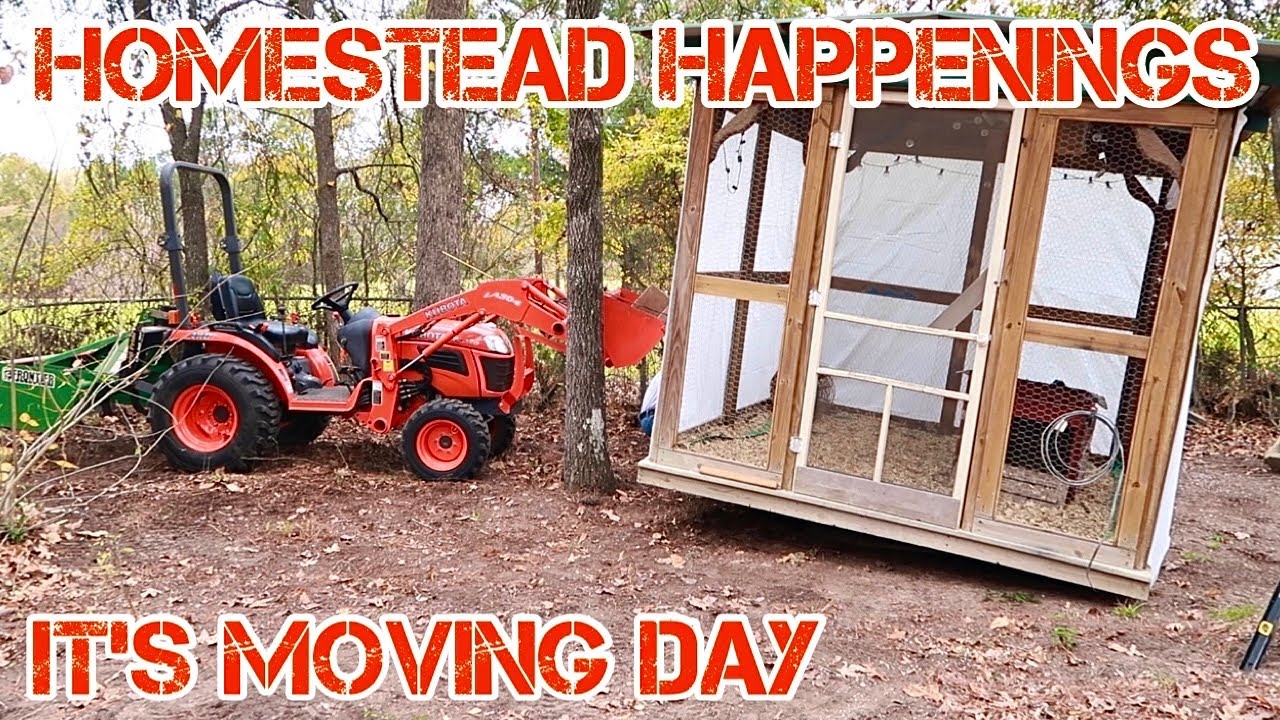 IT’S MOVING DAY * HOMESTEAD HAPPENINGS * Moving our DIY CHICKEN COOP ...