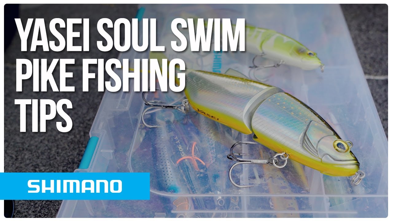 YASEI Soul Swim pike fishing tips | Swimbait fishing tutorial - YouTube