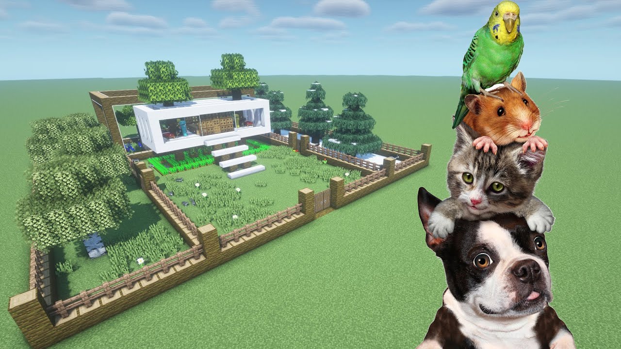 How To Make a Cat, Dog, Hamster, and Parrot Farm in Minecraft PE - YouTube
