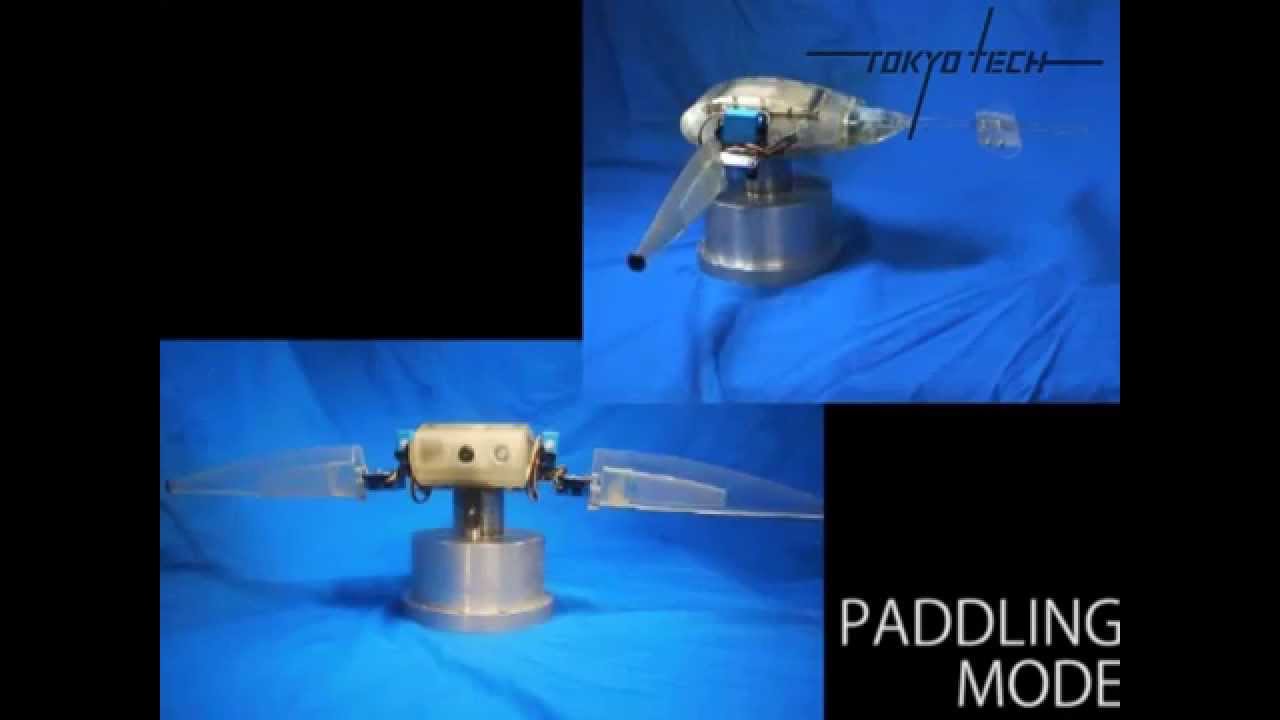 Glide Walker - multi functional underwater robot - YouTube