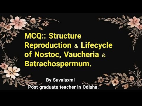 Part-9 MCQ: Structure Reproduction & Lifecycle of Nostoc, Vaucheria ...