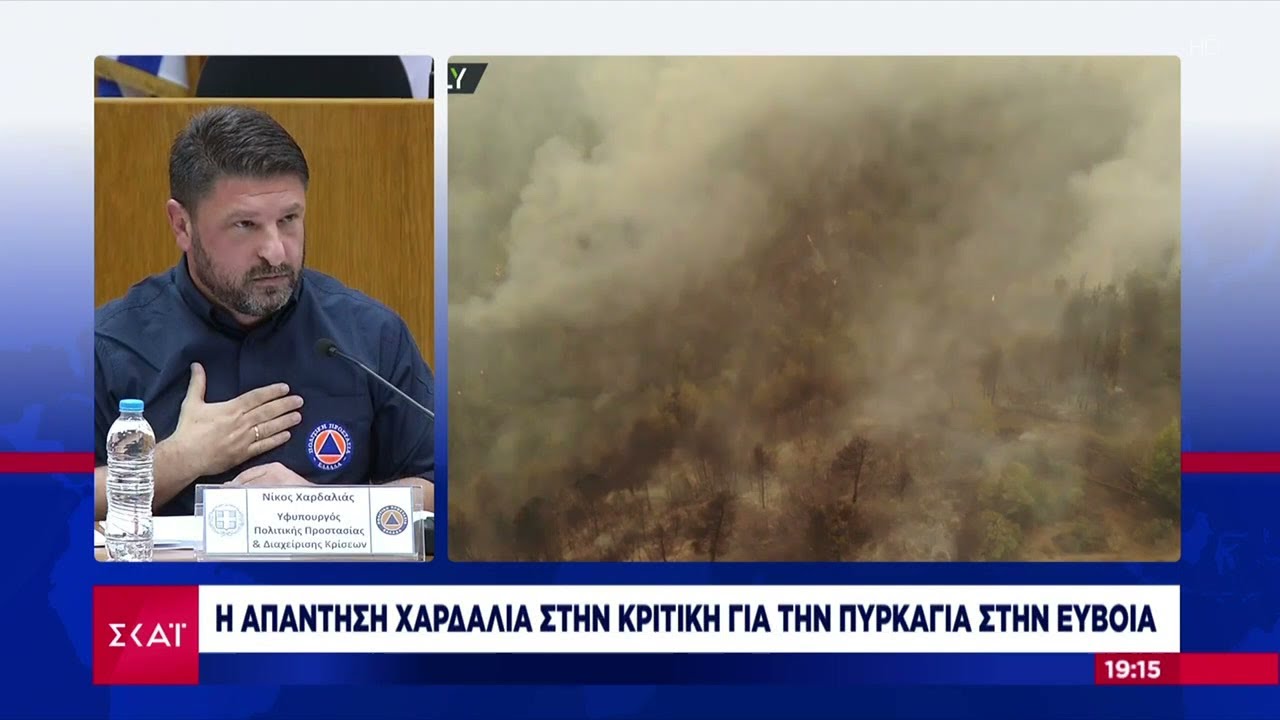 Η απάντηση Χαρδαλιά στην κριτική για την πυρκαγιά στην Εύβοια | Έκτακτη ...
