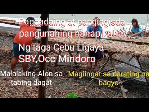 Pagdadaing at pangingisda pangunahing hanap buhay ng taga Cebu Ligaya ...