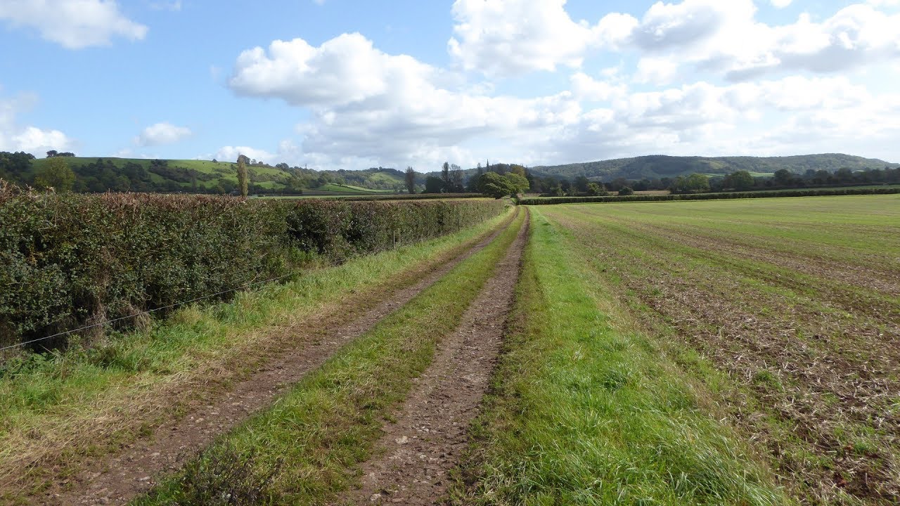 Polden Hills Country Walk Scenery - Somerset Walks - Tour England ...