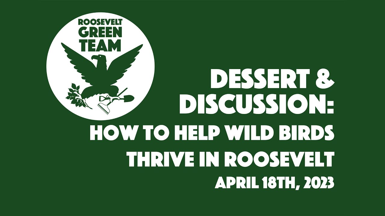 How to Help Wild Birds Thrive in Roosevelt - YouTube