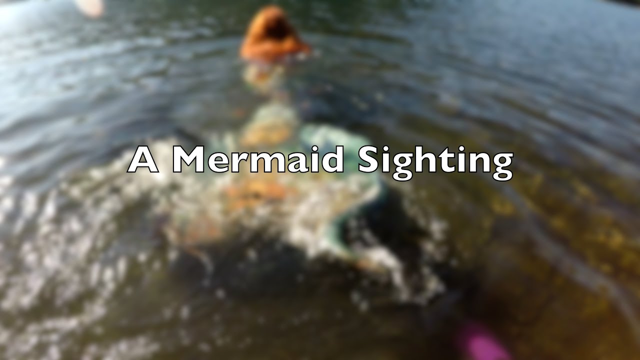 Mermaid Sighting II - YouTube
