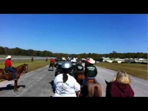 2012 Mobile Field Force Training Integrating Mounted Police - YouTube
