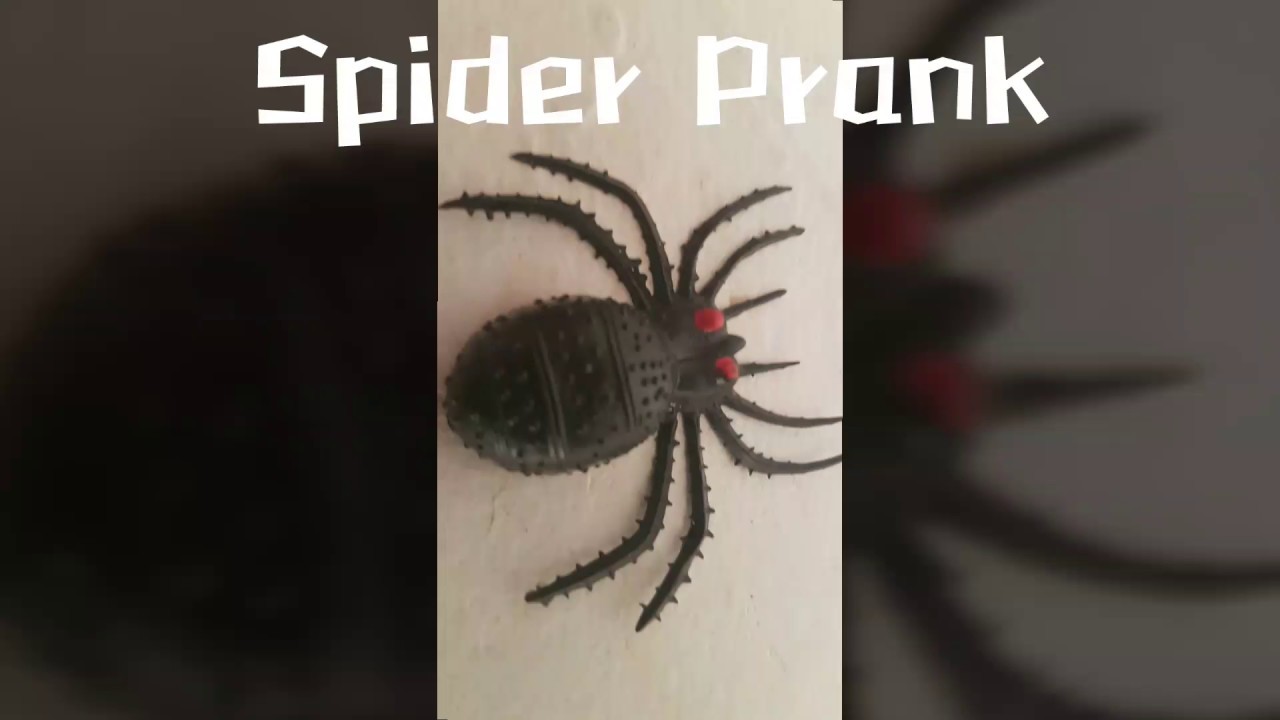 Spider Prank on OAP - YouTube