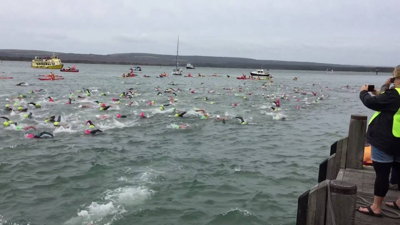 RLSS Poole Lifeguard: Brownsea Island Open Water Charity Swim - YouTube