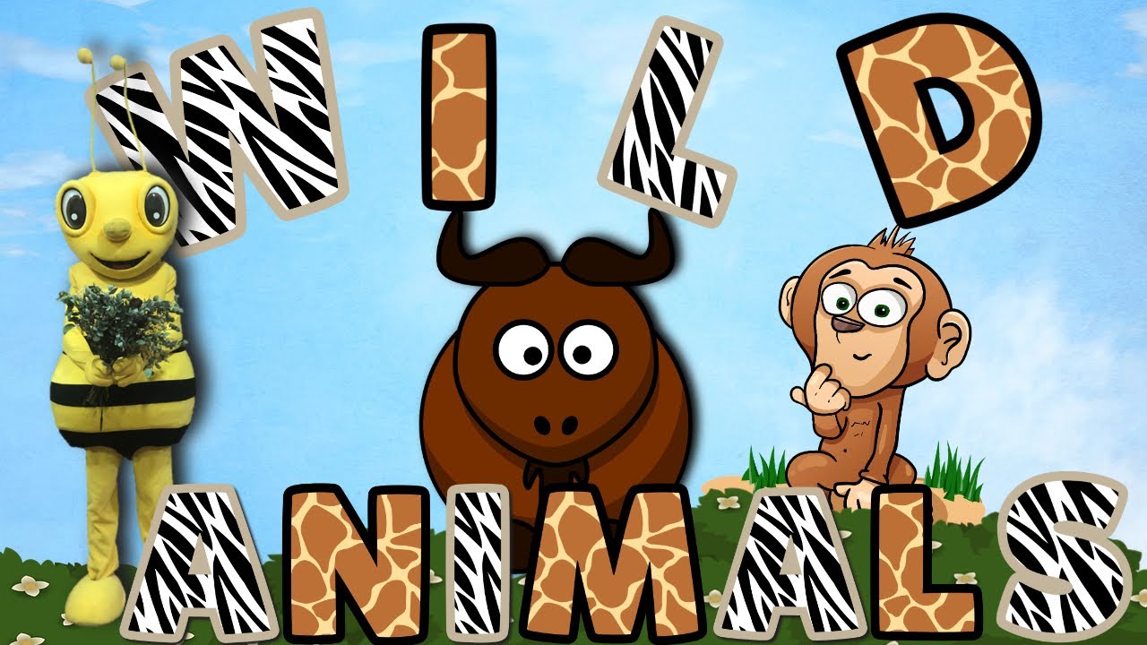 Wild animal song for kids | Buffalo and baboon wildlife song with Bee ...