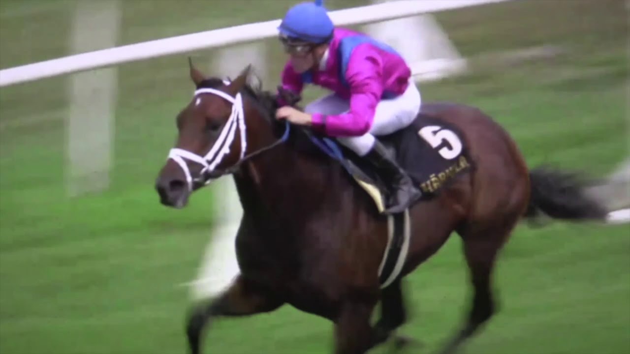 Marc Stott Racing nominerede til HG 2018 2 - YouTube