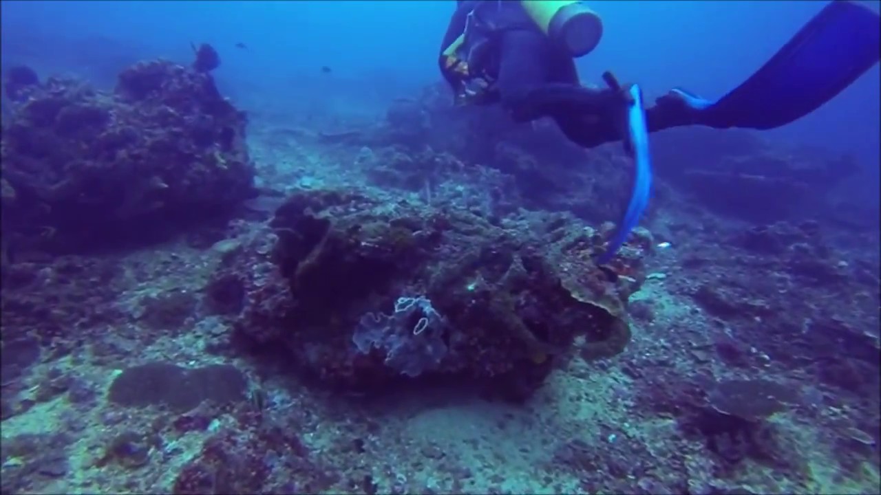 20140730 Scuba Diving in Bali: Tepekong (Cave) - YouTube