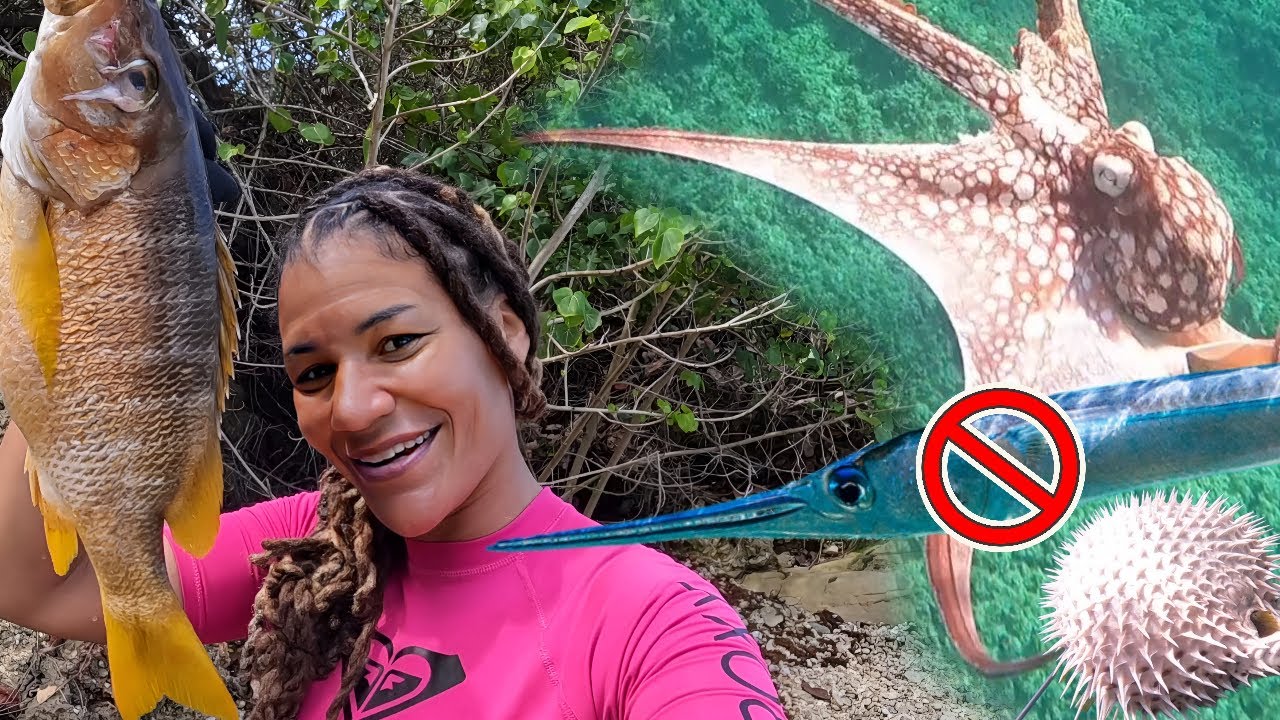 Avoid Getting Attacked By Needlefish While Fishing! OCTOPUS CATCH ...