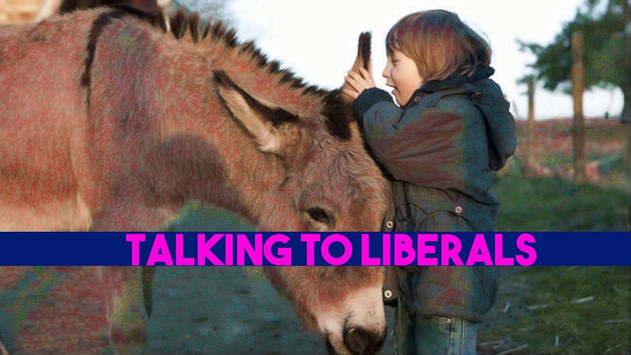 "That's Not Realistic!!!!!" (How to Talk to Liberals About Communism ...