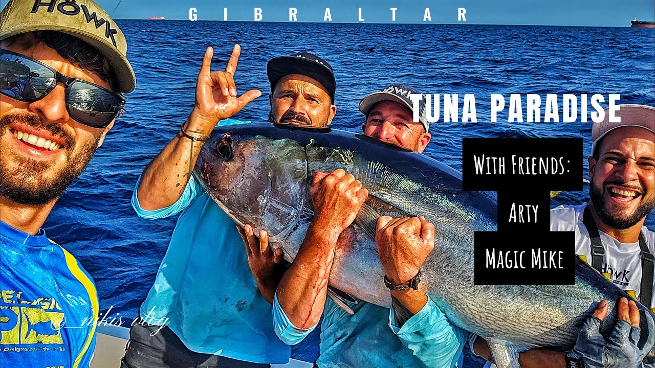Bluefin Tuna Jumping Everywhere, Gibraltar Tuna Paradise - YouTube