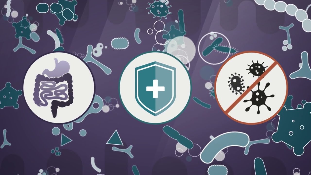 What is a postbiotic? ISAPP educational video - YouTube