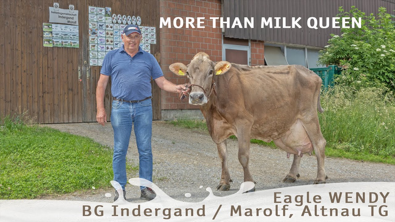 More Than Milk Queen - Eagle WENDY - YouTube