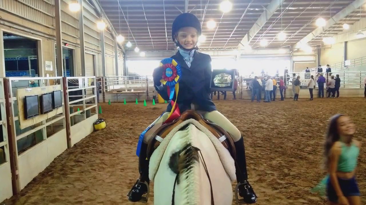 2017 Pinto World Show - Day 1 (June 12, 2017) - YouTube