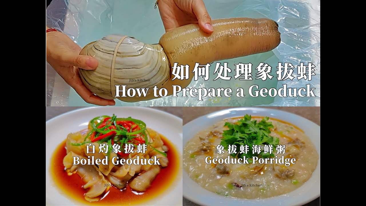【ENG SUB】如何处理/清洗象拔蚌 How to Clean and Prepare a Geoduck 生猛海鲜自己在家也能做【JiJi ...