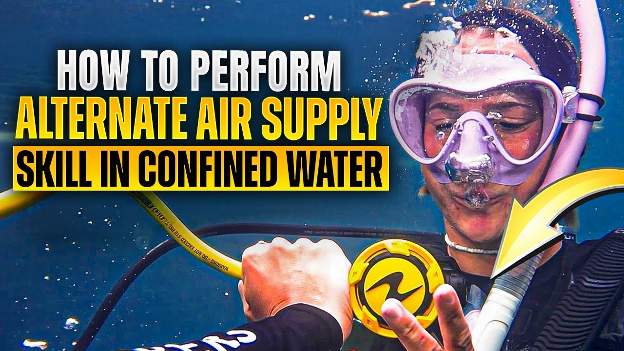 Scuba Diving: How to Perform Alternate Air Supply Skill in Confined ...