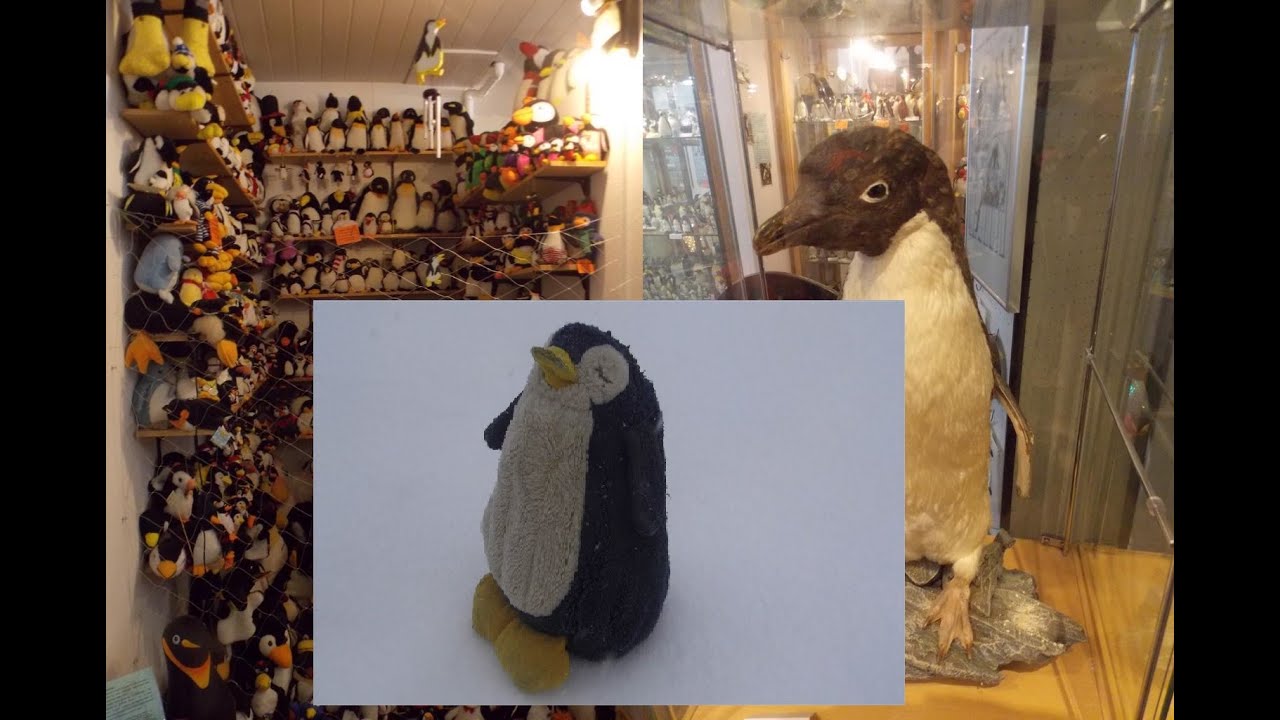 Cuxhaven: Das Pinguinmuseum / The penguin-museum (Schnabelhaft) - YouTube