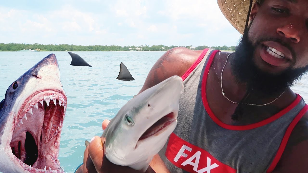 CATCH N COOK GIANT STINGRAY AND SHARK! Cooking With Chef O Nasty - YouTube
