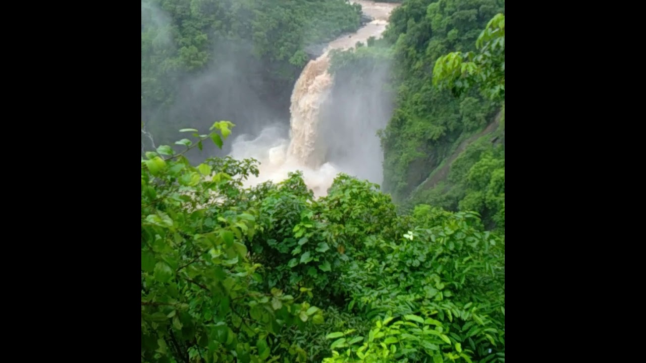 Dabhosa Waterfall in Palghar during monsoon | पावसाळ्यात पालघरमधील ...